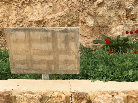 Awards And Exhibitions Adele Quartley Browns Portfolio