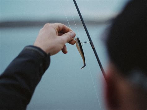 Pond Bass Fishing Rigs Soft Plastic Setups To Catch Bass