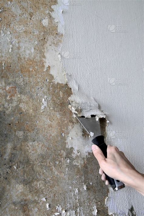 装饰物 室内设计师 垂直画幅 家居开发 壁纸 住宅内部 建筑特色 装修 行动 刮素材 花瓣网