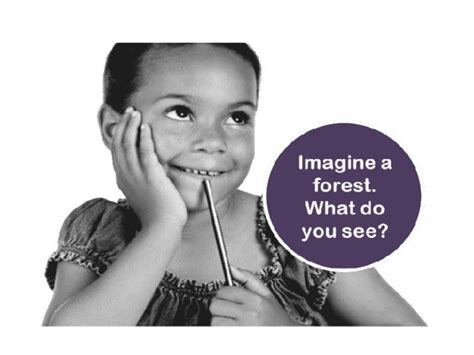 Презентация урока Tropical Rainforests