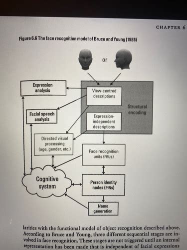 Clinical Neuropsychology Kessels Ch 6 Karteikarten Quizlet