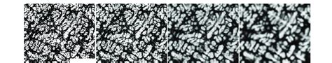 slice images during the phase field filtering as a function of