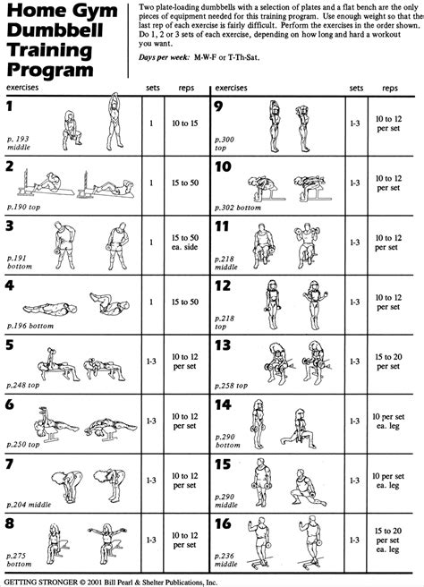 Full Body Workout Plan With Dumbbells