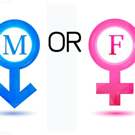 gender recognition by voice original kaggle