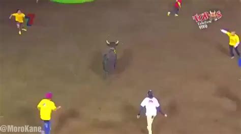 Fatality Album On Imgur