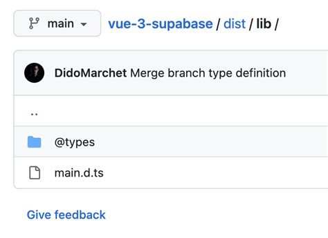 No Type Definitions In The Npm Release · Issue 2 · Didomarchetvue 3 Supabase · Github