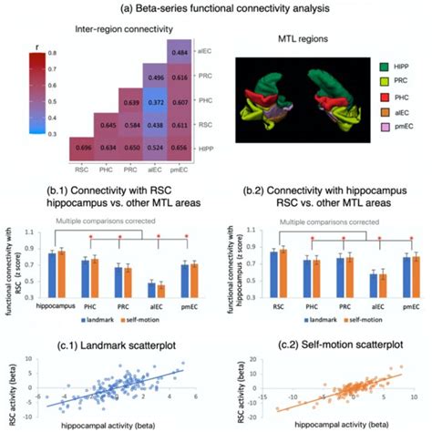 Figure S4 Functional Connectivity Between Retrosplenial Cortex And Download Scientific Diagram