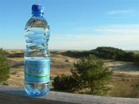 Дюна Эфа, Куршская коса, Калининградская область, Россия, … | Flickr