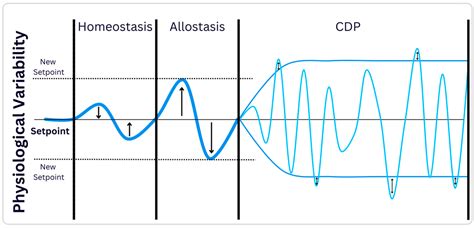 The Constrained Disorder Principle Beyond Biological Allostasis