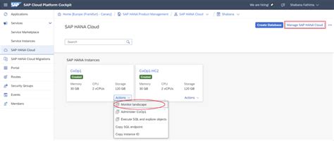Sap Hana Cloud Tools Softat