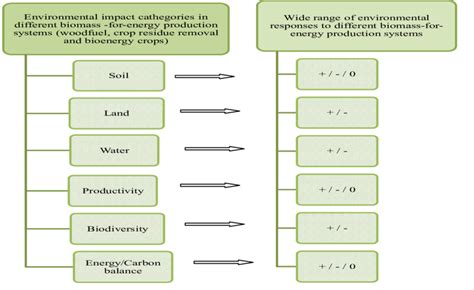 Environmental Impact Cathegories In Different Biomass For Energy