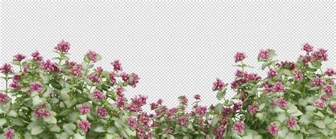 Premium Psd 3d Rendering Of Various Types Of Shrubs Of Natural Landscape