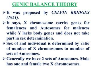 Sex Determination In Humans PDF