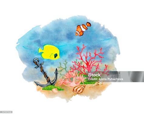 바다 바닥 수채화 구성 산호초 조개 침몰 한 앵커 및 이국적인 물고기 구도에 대한 스톡 벡터 아트 및 기타 이미지 구도 그래픽 프린트 깊은 Istock