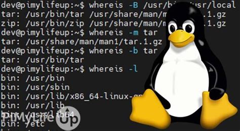 How To Use The Whereis Command Pi My Life Up