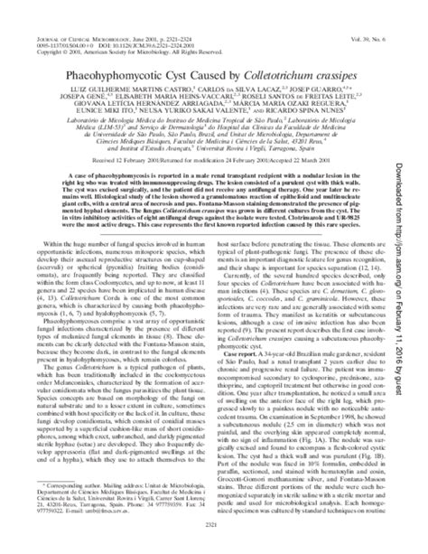 Pdf Phaeohyphomycotic Cyst Caused By Colletotrichum Crassipes