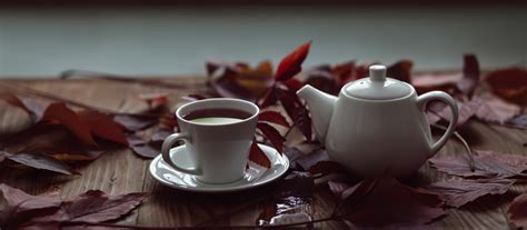 단풍을 배경으로 한 테이블에 허브 차와 찻주전자를 곁들인 컵을 클로즈업합니다 다도의 가을 소박한 정물 0명에 대한 스톡 사진 및