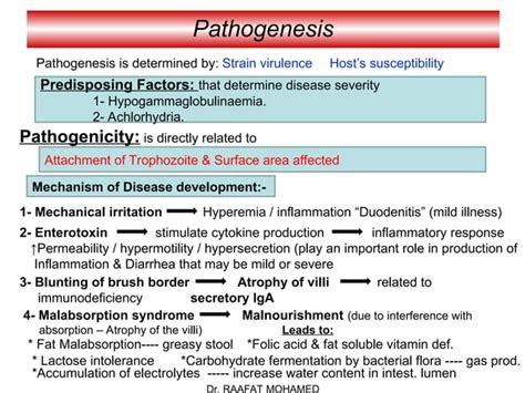 Protozoa Presentation Giardia Lamblia Ppt