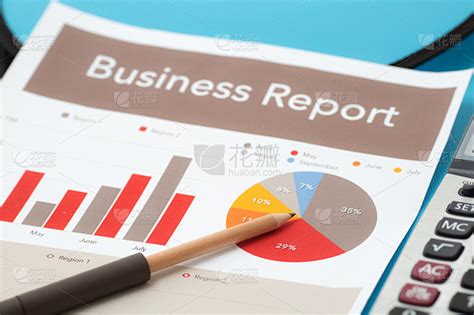 业务图表分析报告。会计