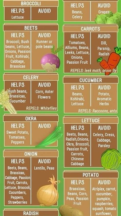 Best 12 Tomato Types Explained Determinate Vs Indeterminate Artofit