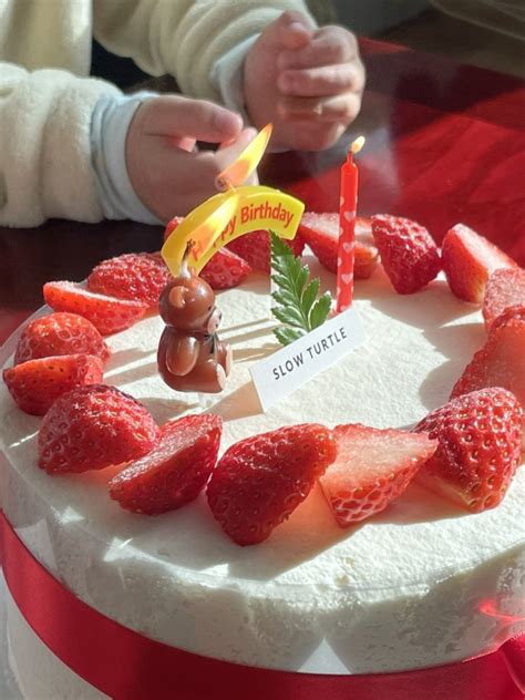 대구 딸기케이크 맛집 슬로우터틀 딸기케이크 주문 홀케이크 추천 네이버 블로그