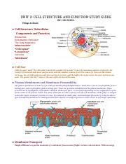 UNIT 2 CELL STRUCTURE AND FUNCTION STUDY GUIDE Docx UNIT 2 CELL STRUCTURE AND FUNCTION STUDY