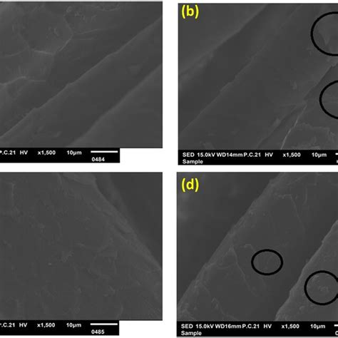 Scanning Electron Microscopy Sem Analysis Of A Un Irradiated Wool