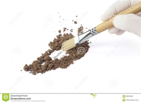 Forensic Analysis A Forensics Lab Technician Examines Murder Scene For Any Other Residue Or