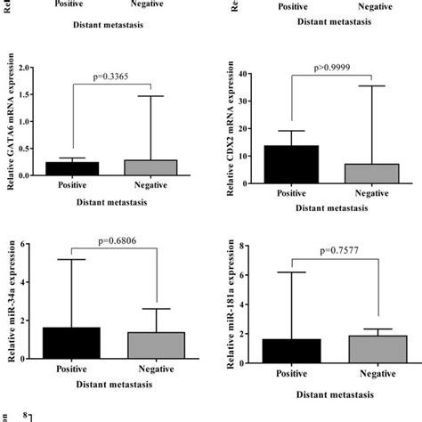 Quantitative Rt Pcr Analysis Of β Catenin Levels In 24 Paired Gastric