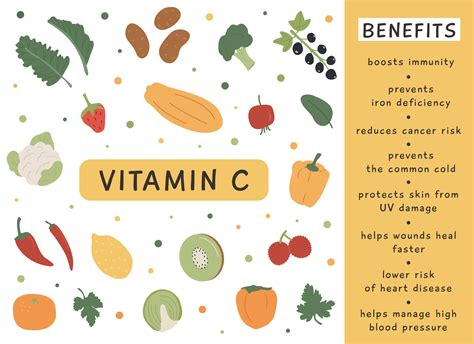 Alto Vitamina C Comida Fuentes Para Sano Dieta Un Información Tarjeta