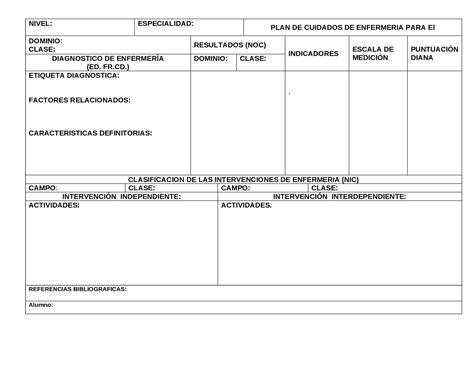 Formato Plan De Cuidados De E Nfermeria Apuntes De Fundamentos De