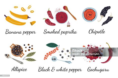 바나나 고추 훈제 파프리카 Chipotle 피망 흑인과 흰색 고추 Gochugaru와 향신료 벡터 일러스트 레이 션 컬렉션 평면 만화 낙서 스타일 요리 및 장식을위한