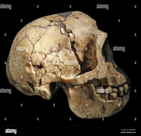 Grotte De Liang Bua Flores Banque De Photographies Et Dimages à Haute