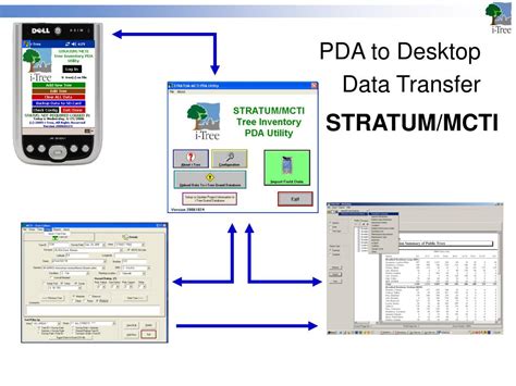 PPT Tree Inventory PDA Utilities PowerPoint Presentation Free