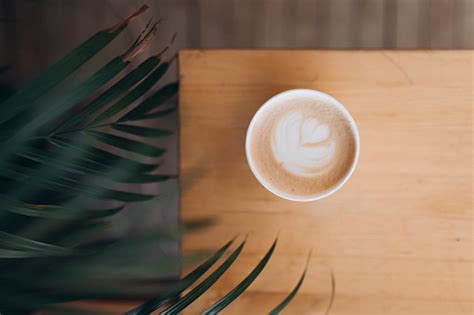 나무 테이블에 라떼 아트가 있는 커피 종이 컵의 상위 뷰 거리 커피 상위 뷰 야자 가지와 잎에 커피 한잔 커피잔에 대한 스톡 사진 및 기타 이미지 Istock