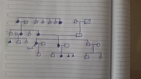 Solved Using Bayesian Analysis Calculate The Posterior Chegg
