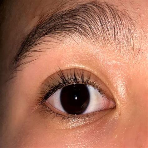 Bmi Classification Dataset And Pre Trained Model By Westros