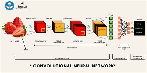 Arsitektur Convolutional Neural Network Cnn Untuk Pengolahan Citra