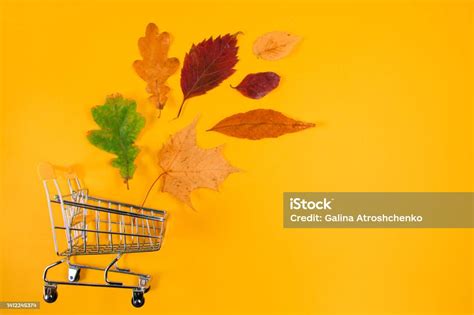 가을 세일 컨셉 노란 배경에 쇼핑 카트와 떨어진 색깔의 잎 광고를 위한 크리에이티브 컴포지션 10월에 대한 스톡 사진 및 기타 이미지 Istock