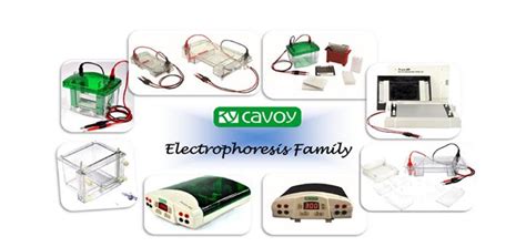 C11995500bt，gibco，dmem Basic 1x 高糖培养液 赛国生物科技