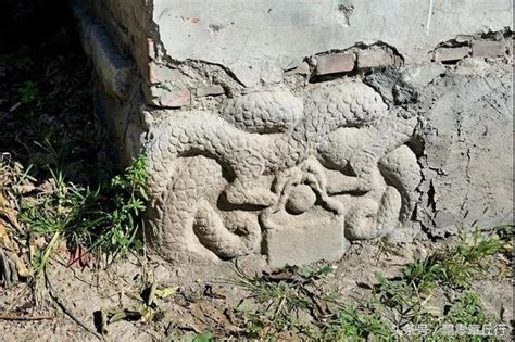 探訪龍山文化發源地命名地章丘龍山村 每日頭條