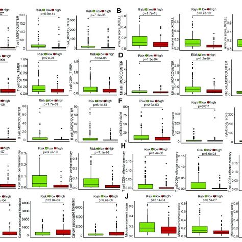 Infiltrating Cell Type Analysis Using Multiple Deconvolution Download Scientific Diagram