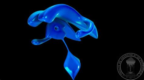 Anatomy Of The Brain The Cerebrospinal Fluid CSF Indavideo Hu