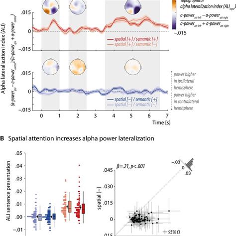 Informative Spatial Cue Elicits Increased Alpha Power Lateralization