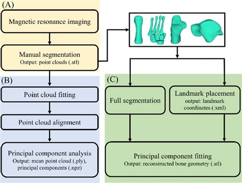 outline of the process of creating and validating a statistical shape