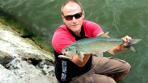 Rapfen On Top Kostenlos Streamen Joyn