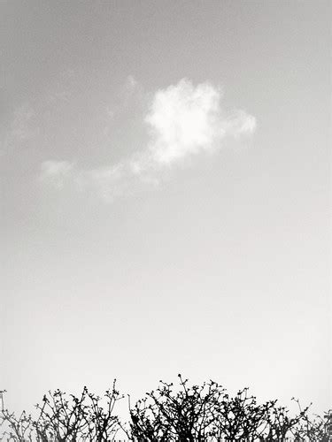 Flickr