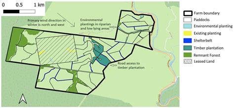 Step 3 Develop Your Tree Layout The Toolbox MLA ELearning