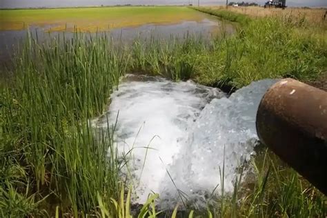 افزایش ۲۵۰۰ لیتری ظرفیت آب تهران با انتقال از سد طالقان