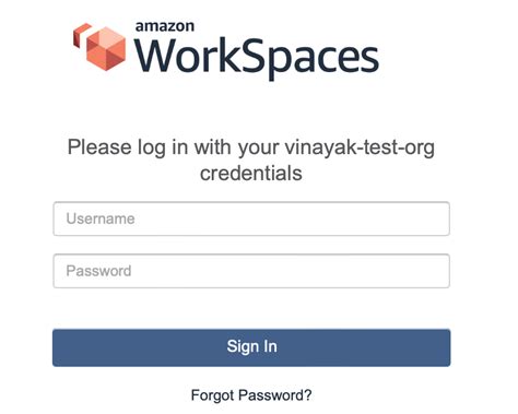 Using Aws Workspace To Access Internal Resources By Vinayak Pandey